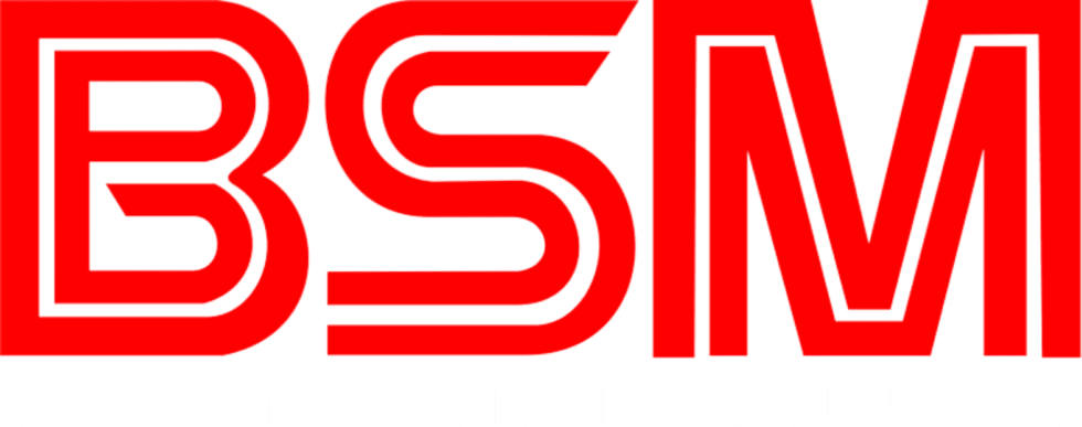 About Us | BSM INDIA